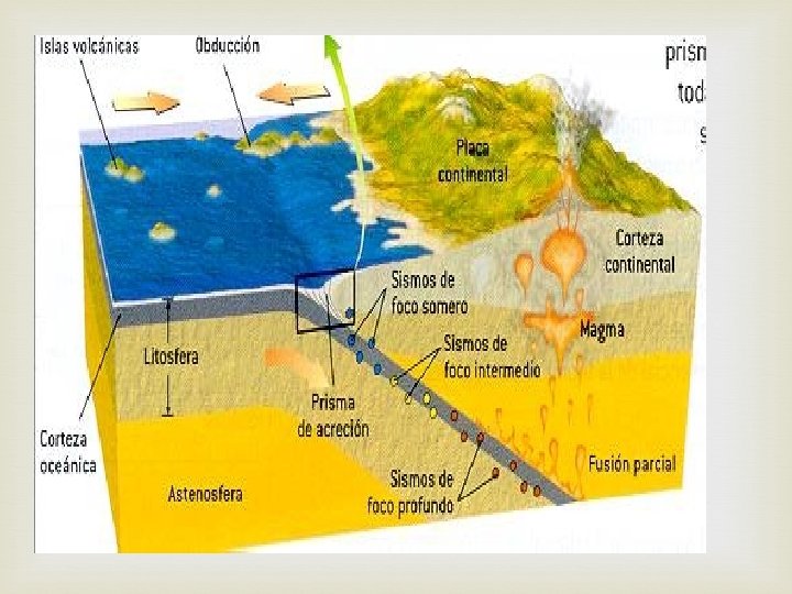 Volcanismo y tectonismo tectonismo Parte importante del territorio