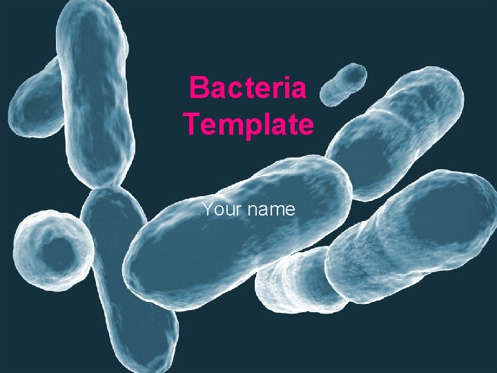 Bacteria Template Your name Example of a Bullet