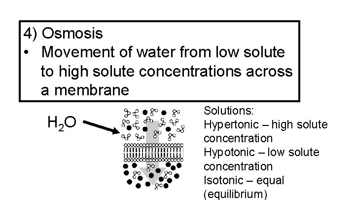 Membrane Transport 1 Passive Transport Moves from high