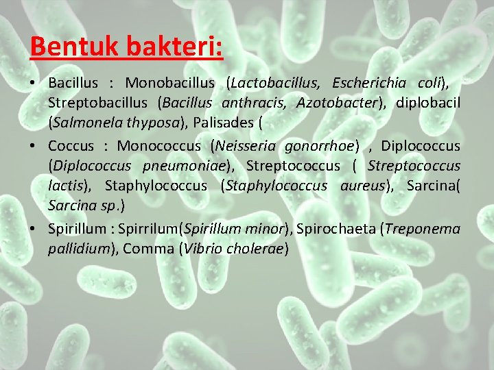 EUBACTERIA ARCHAEBACTERIA APA YANG KALI PIKIR MEN KAN