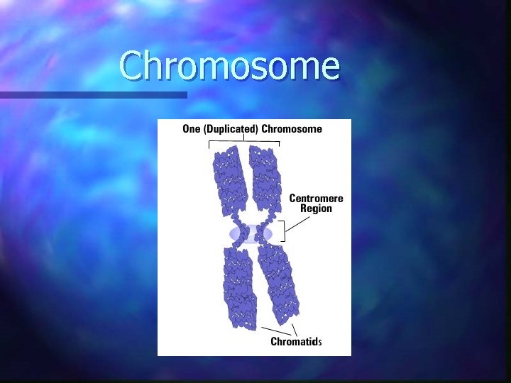 Cell Division Breaking Up Is Hard To Do
