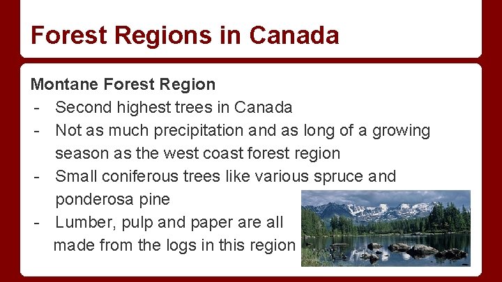 Forest Resources and Their Uses By Jessica Kiera