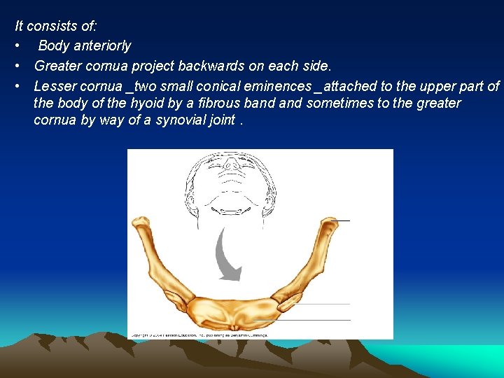 Embryology Anatomy and physiology of Larynx Prepaired by