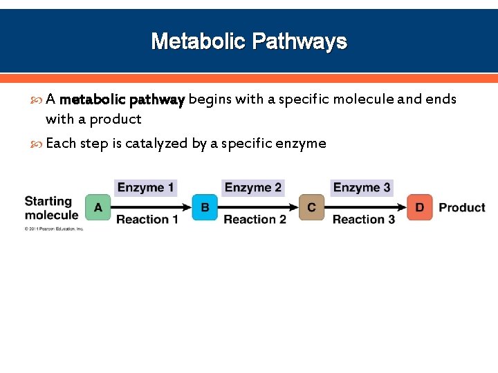 6 An Introduction to Metabolism Overview The Energy