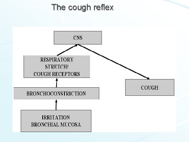 Respiratory System Pharmacology Akinluyi E T Ph D