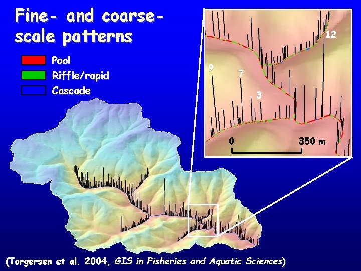 Where did the variogram come from Geology Biology