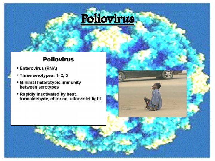 Exponential Models By Sam Schuesler Cynthia Tena POLIO
