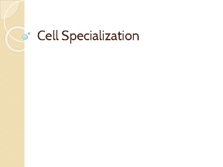 Cell Specialization Differences Among Cells All living things