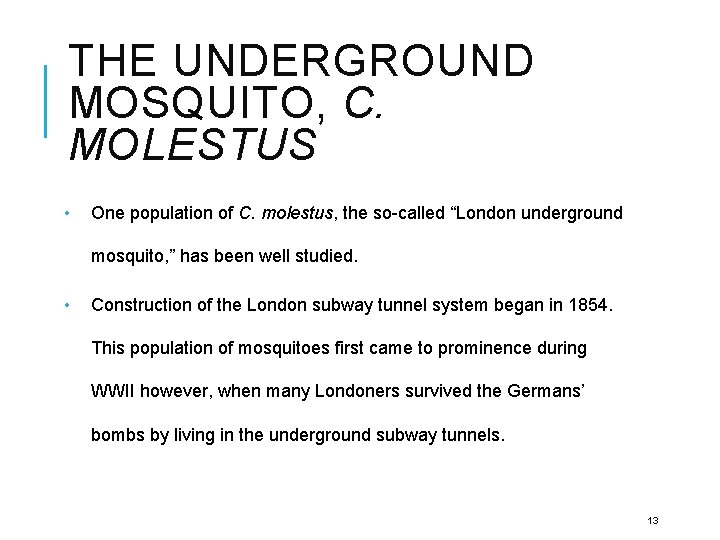 SPECIATION Case Study 1 RANDOM FACT Scientists believe