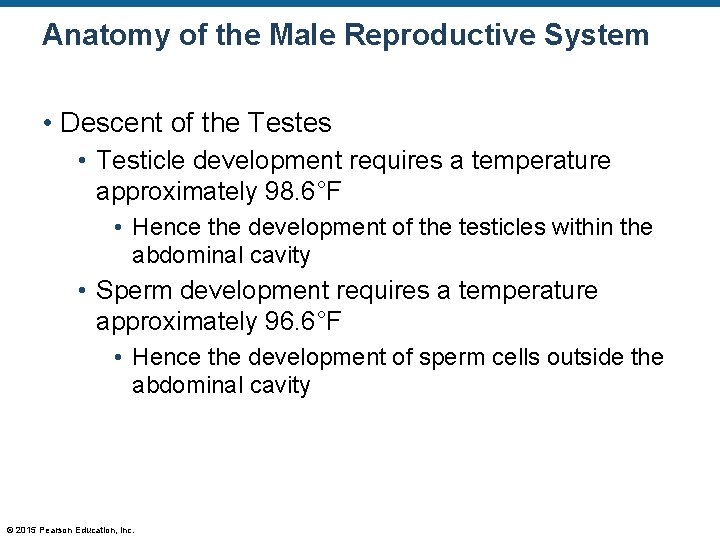 Chapter 27 The Reproductive System Lecture Presentation by