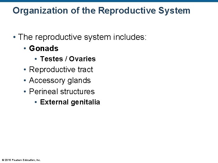 Chapter 27 The Reproductive System Lecture Presentation by