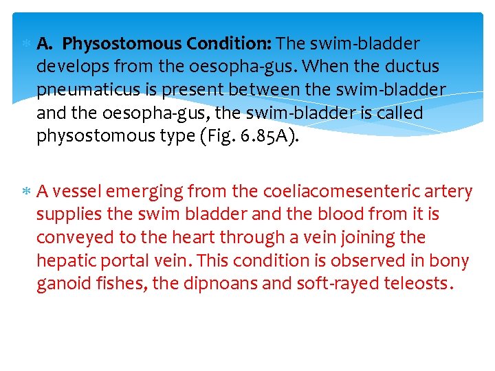 Swim Bladder an important ARO in fishes Core