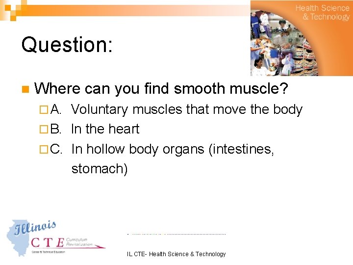 Understand the Components of the Muscular System Lesson