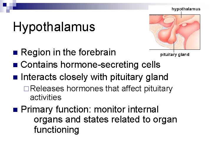 The Endocrine System Controlling your Homeostasis Basics Network