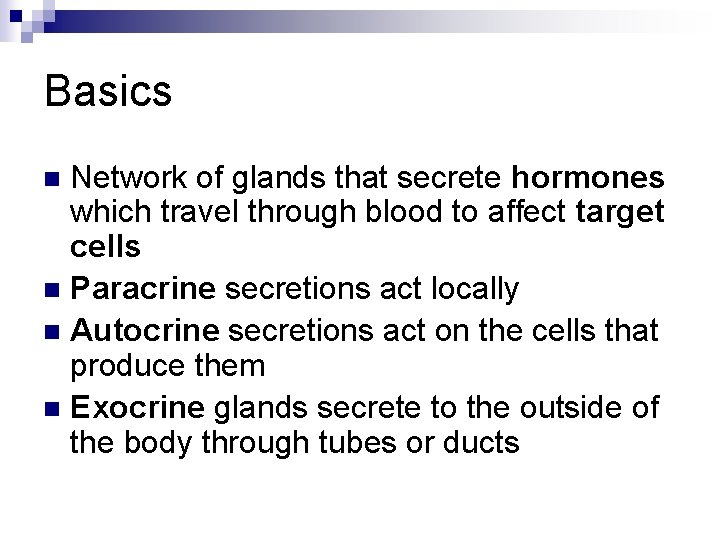 The Endocrine System Controlling your Homeostasis Basics Network