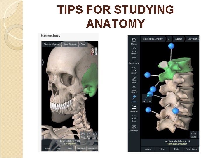 ANATOMY AND PHYSIOLOGY STUDENT MANUAL Presented by Karina
