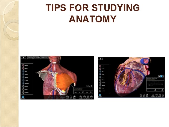 ANATOMY AND PHYSIOLOGY STUDENT MANUAL Presented by Karina