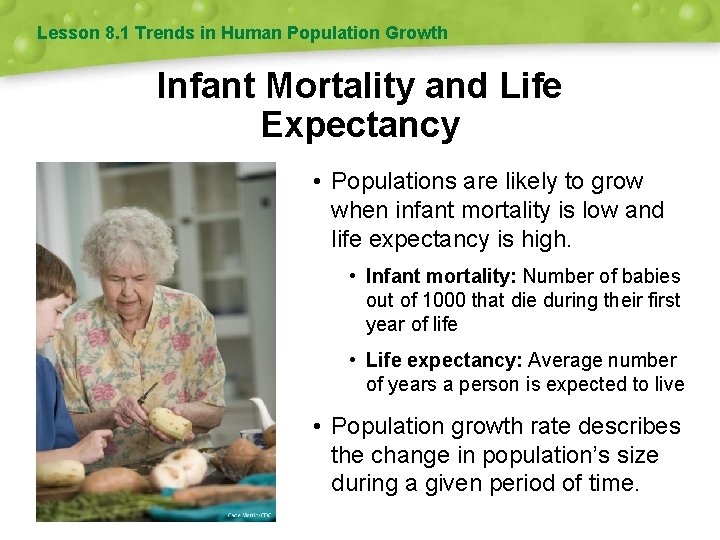 CHAPTER 8 Human Population Lesson 8 1 Trends