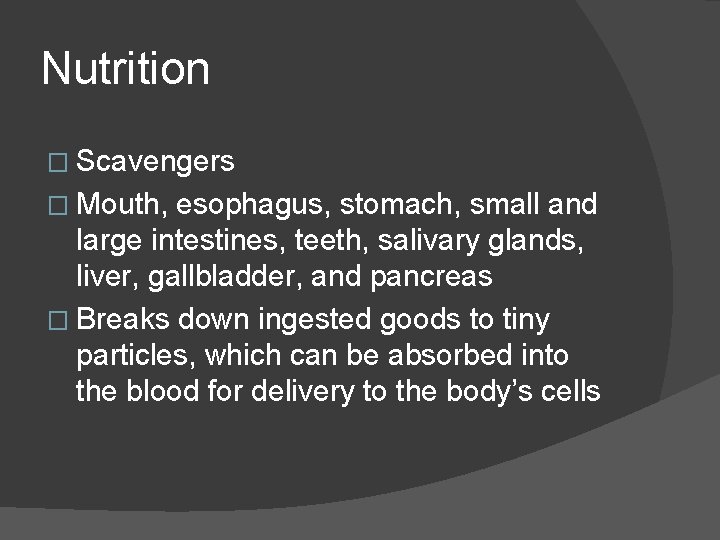 LIFE PROCESSES RAT KINGDOM Animalia PHYLUM Chordata CLASS