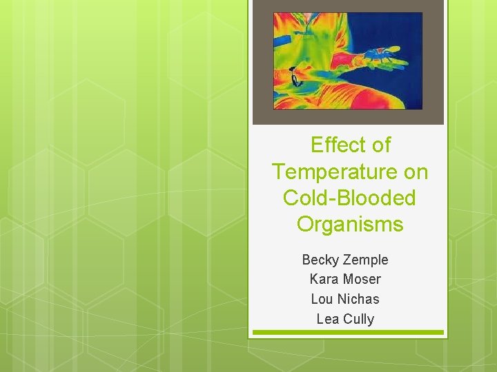 Effect of Temperature on ColdBlooded Organisms Becky Zemple