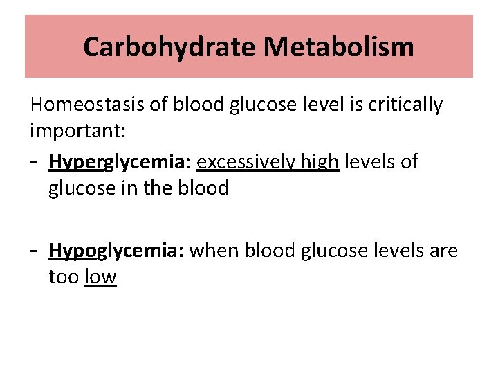 Nutrition and Metabolism Last topic of Digestive System