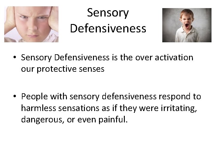Sensory Processing and Self Regulation Sarah Macneil Sarni