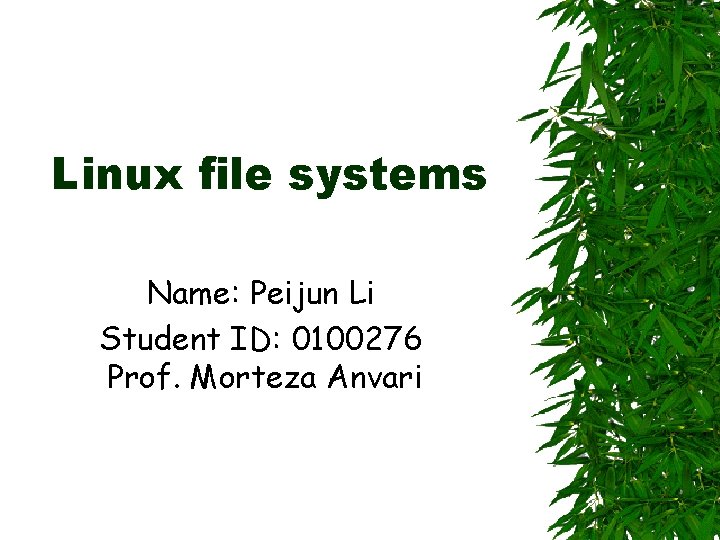 Linux file systems Name Peijun Li Student ID