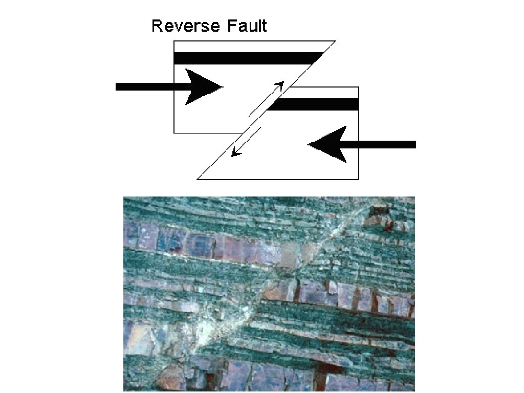 Bellringer Describe how Plate Tectonic forces and earthquakes
