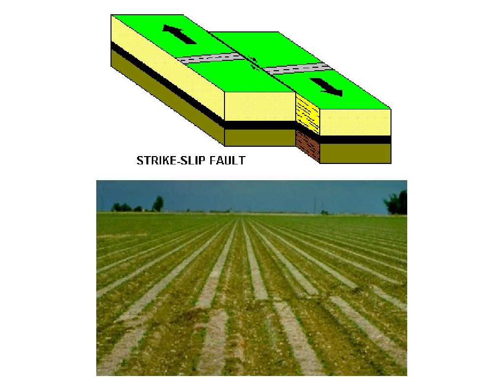 Bellringer Describe how Plate Tectonic forces and earthquakes