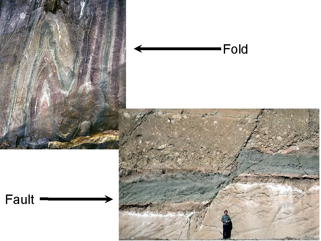 Bellringer Describe how Plate Tectonic forces and earthquakes