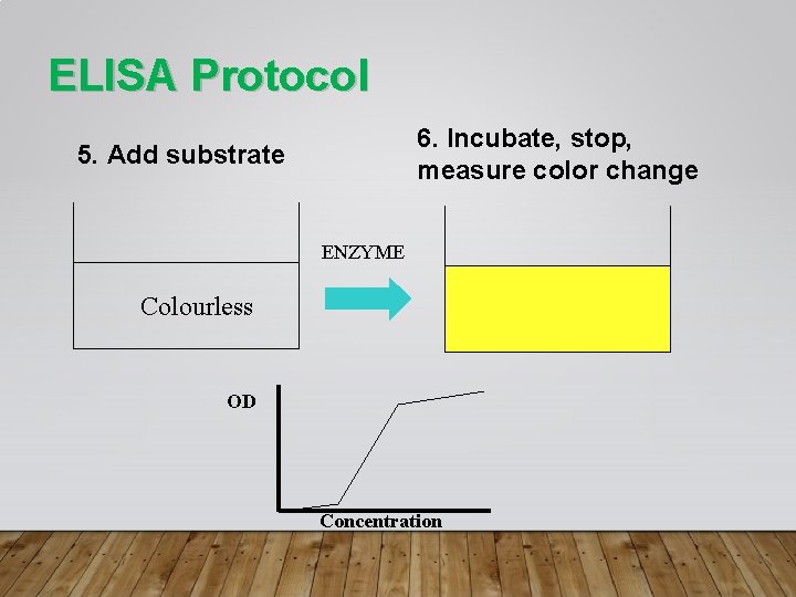 LABELED IMMUNOASSAYS PART 2 ENZYME LINKED IMMUNOSORBENT ASSAY
