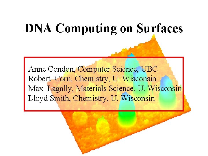 DNA Computing on Surfaces Anne Condon Computer Science