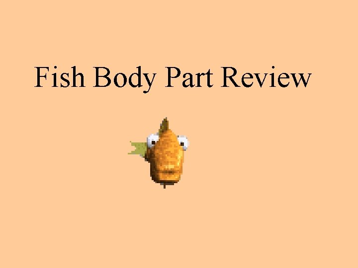 Fish Body Part Review http www flushing k