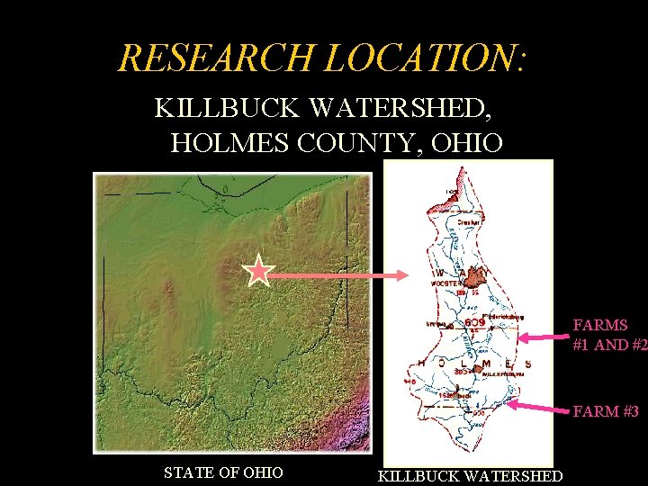 Innovation Guided by Culture Lessons from the Amish