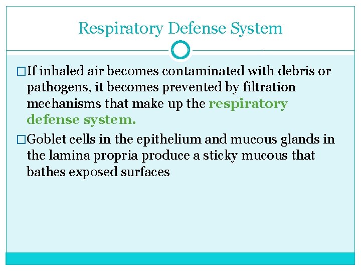 Respiratory System BY BRITTANY JENNA ABBEY KAYHLA Functions