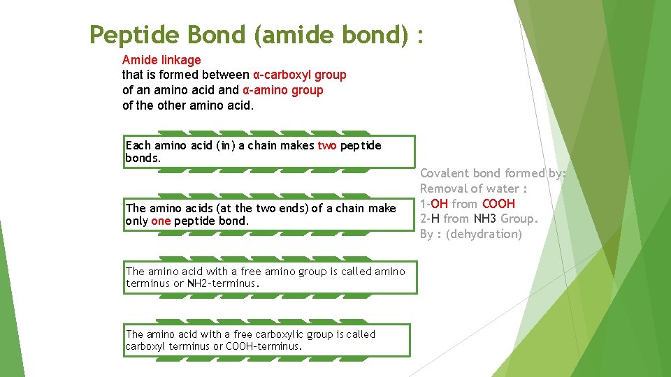 Protein structure Color Index Important Extra Information Doctors