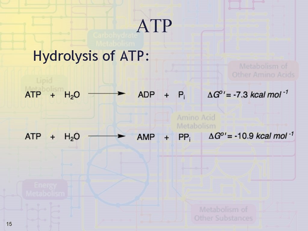 Lecture 1 Metabolism Basic Concepts and Design Chem