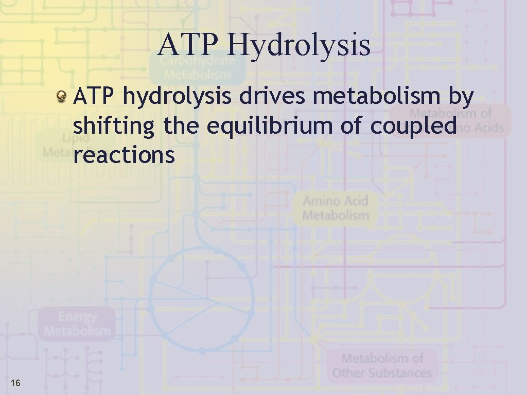 Lecture 1 Metabolism Basic Concepts and Design Chem