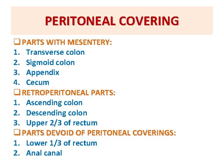 ANATOMY OF THE LARGE INTESTINE Prof Ahmed Fathalla