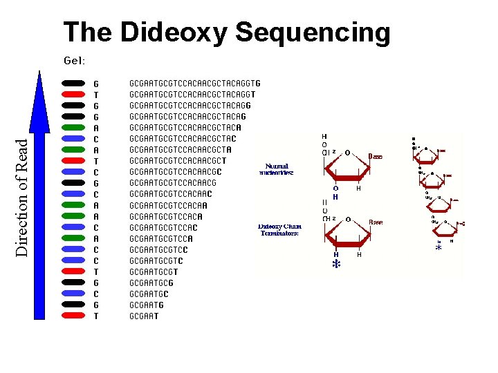 What Are the Methods and Approaches Used to