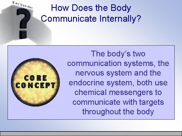 Unit 3 Myers AP Biopsychology and the Foundations