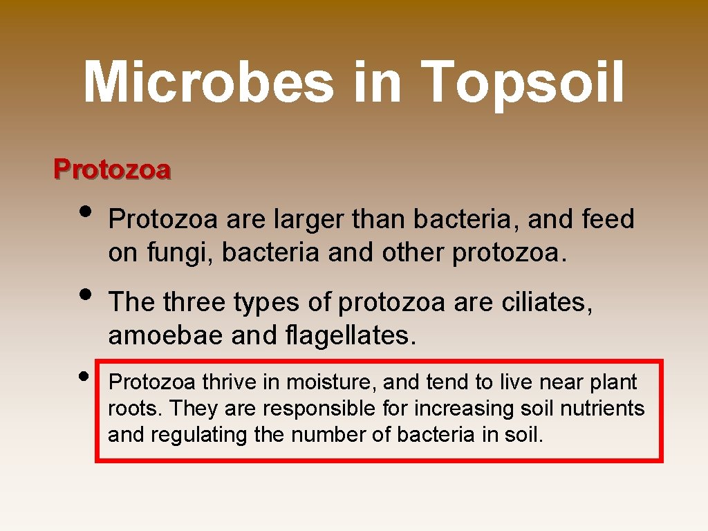 Chapter 8 Soil The Formation of Soil Factors