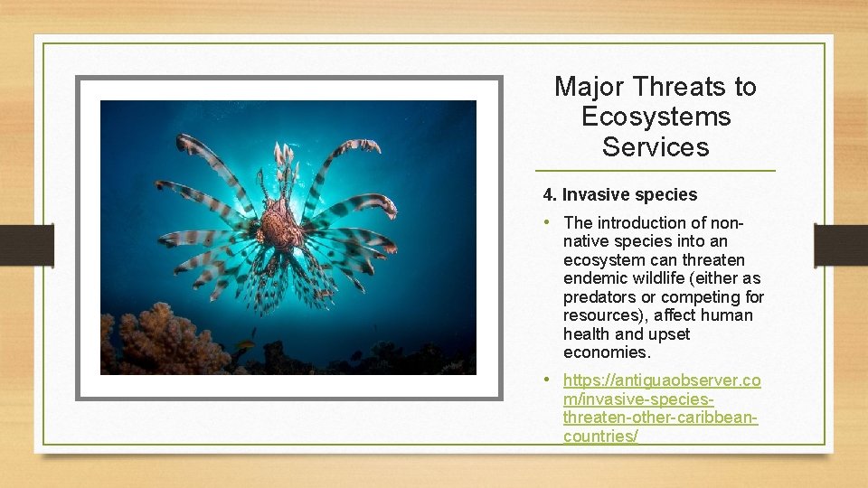 How Humans are Connected to the Environment Objective