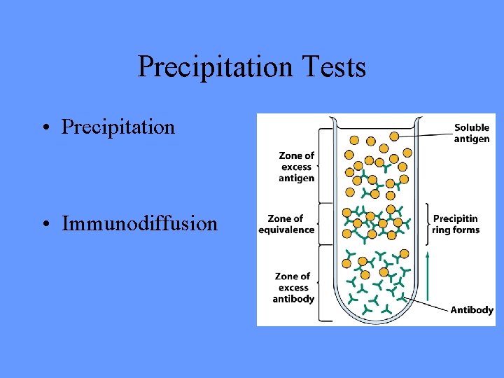 Antibody based detection Chem 4630 Lesson 4 2511