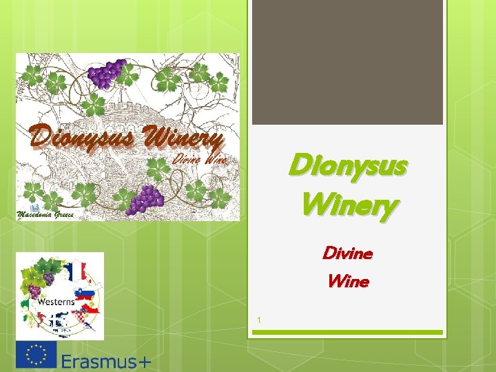 Dionysus Winery Divine Wine 1 2 Information Dionysus