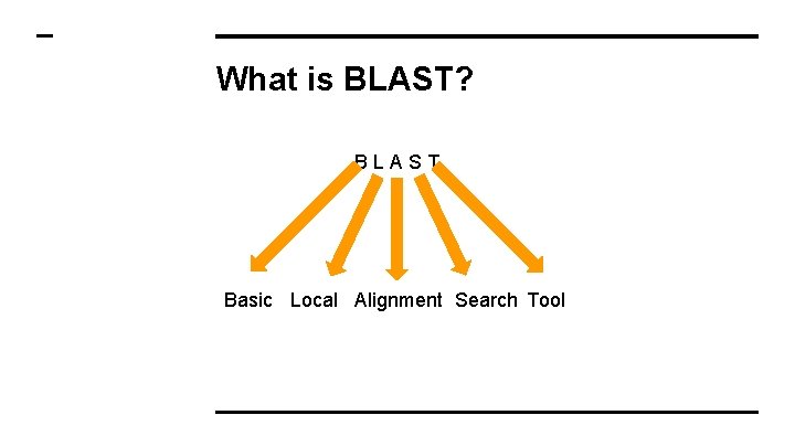 Using BLAST to Identify Species from Proteins Adapted