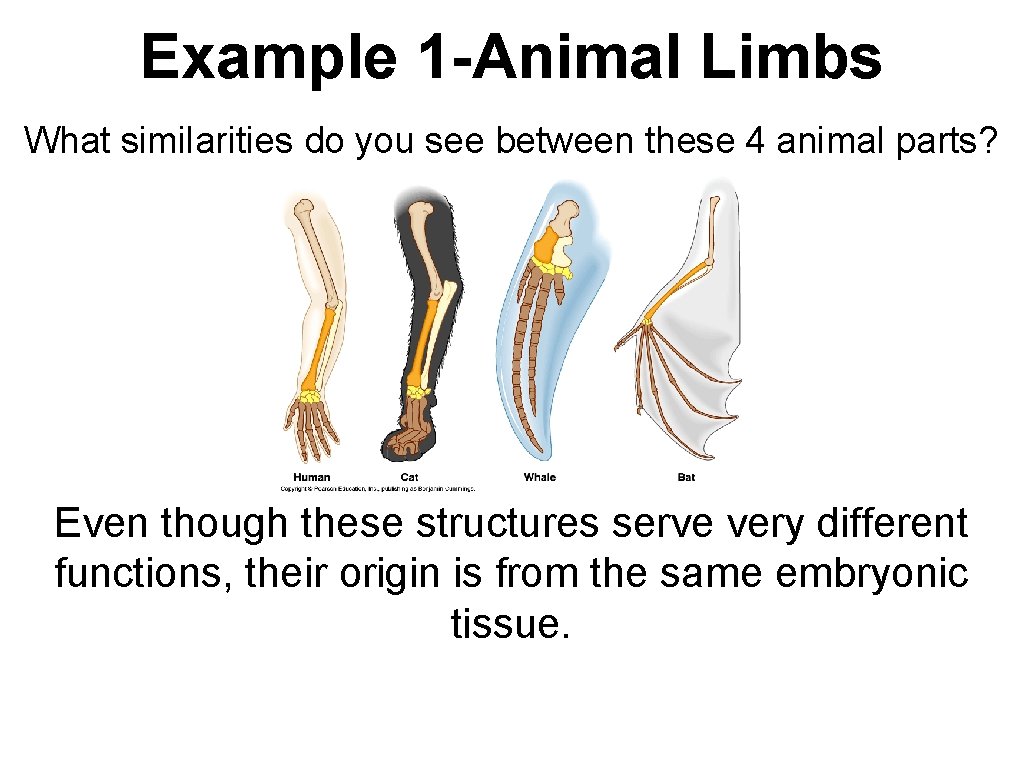 Initiation What are the 2 pieces of evidence