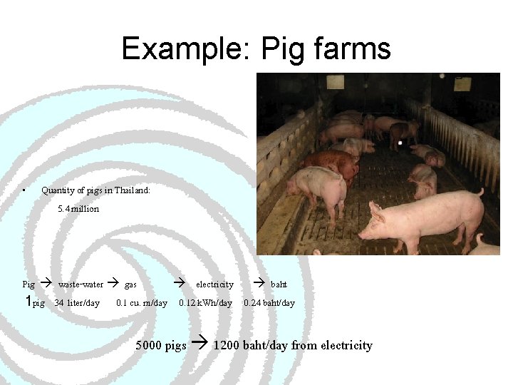 Connecting pigfarm biogas to the grid in Thailand