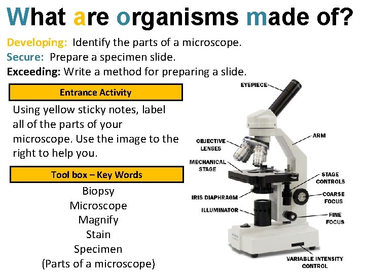What are organisms made of Developing Identify the