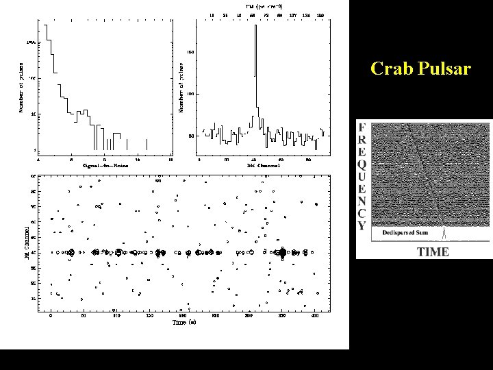The Transient Radio Sky to be Revealed by